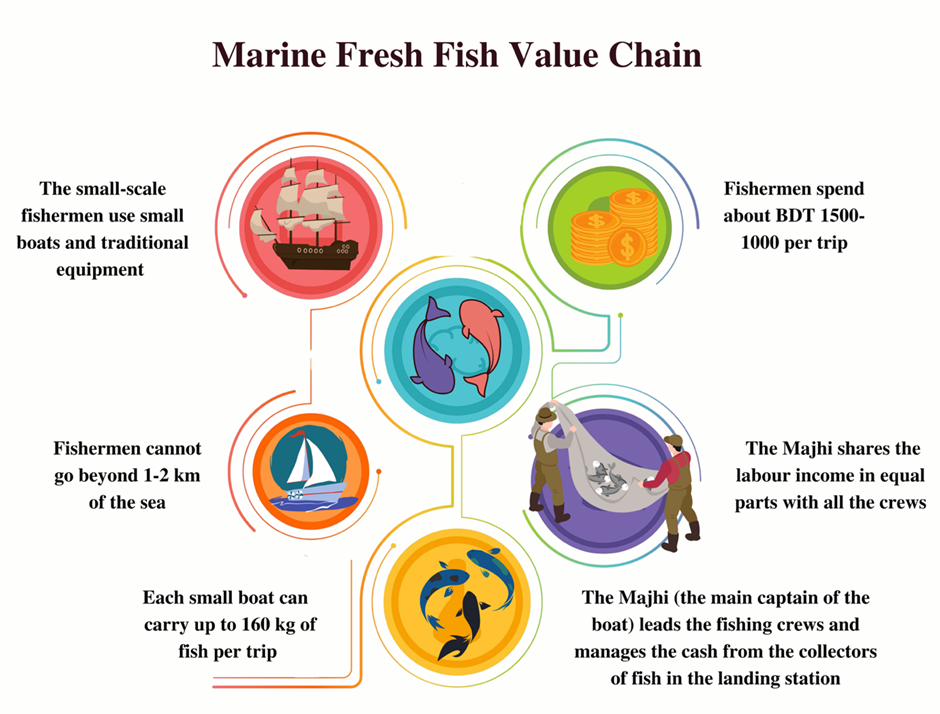 A Market-based Livelihoods Assessment for Teknaf, Cox’s Bazar – CaST ...